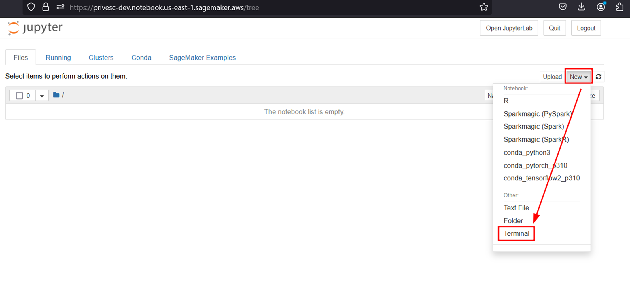 Privilege Escalation in AWS and GCP Machine Learning Instances - Security Risk Advisors
